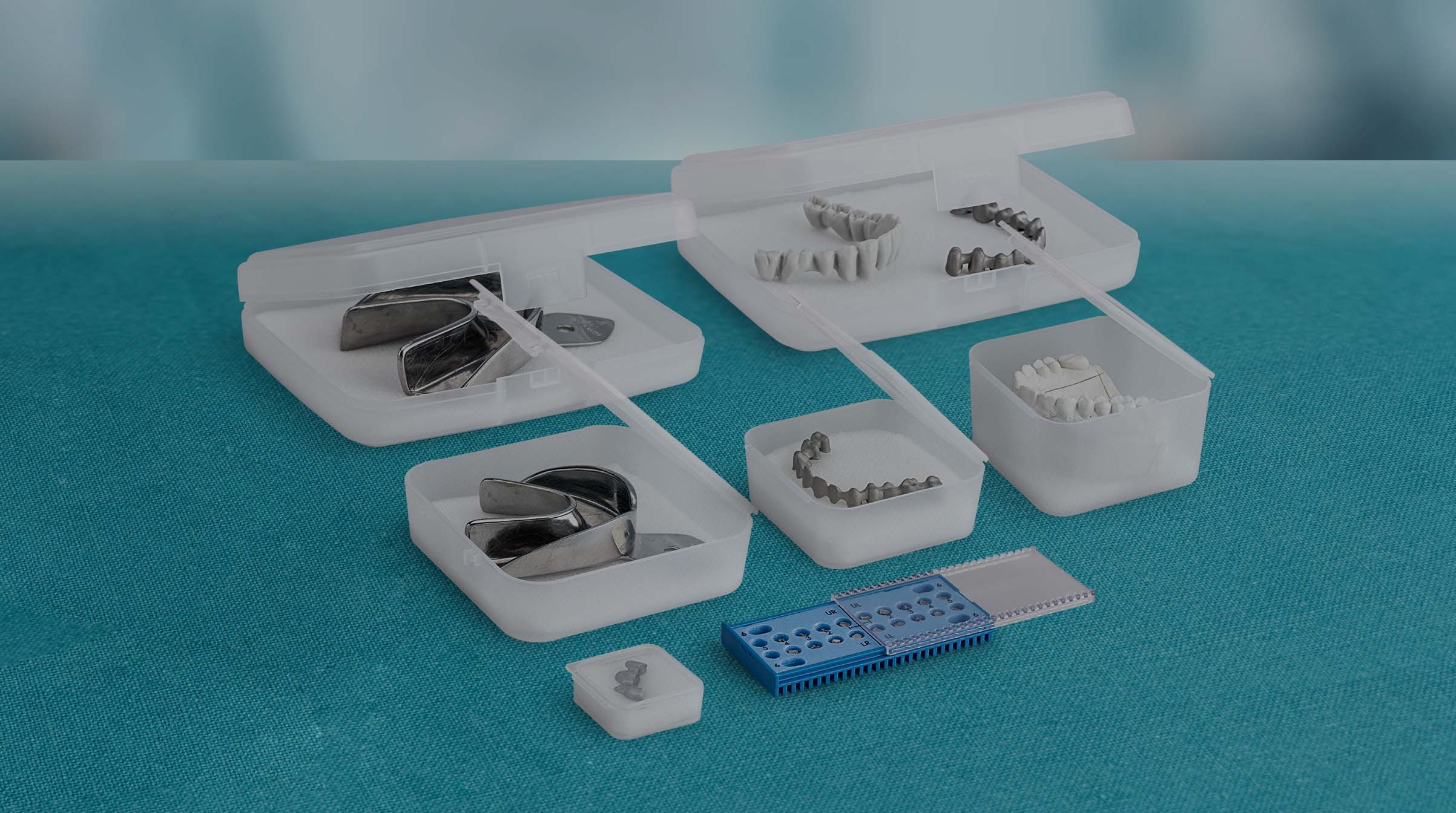 Packaging for tooth and jaw models - rose medical packaging